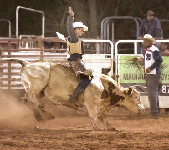 Makawao Rodeo Bull Bash | News, Sports, Jobs - Maui News